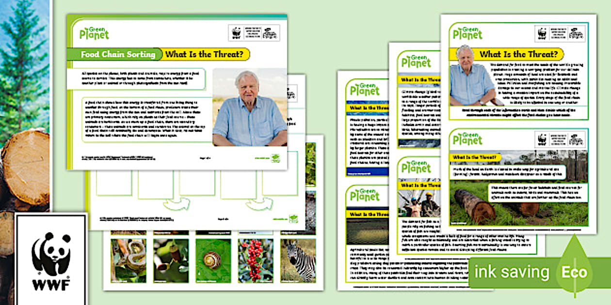 FREE! - WWF: Food Chain Sorting Activity with David Attenborough [Ages ...